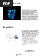 Otoscopia Normal | PDF | Oído | Anatomía