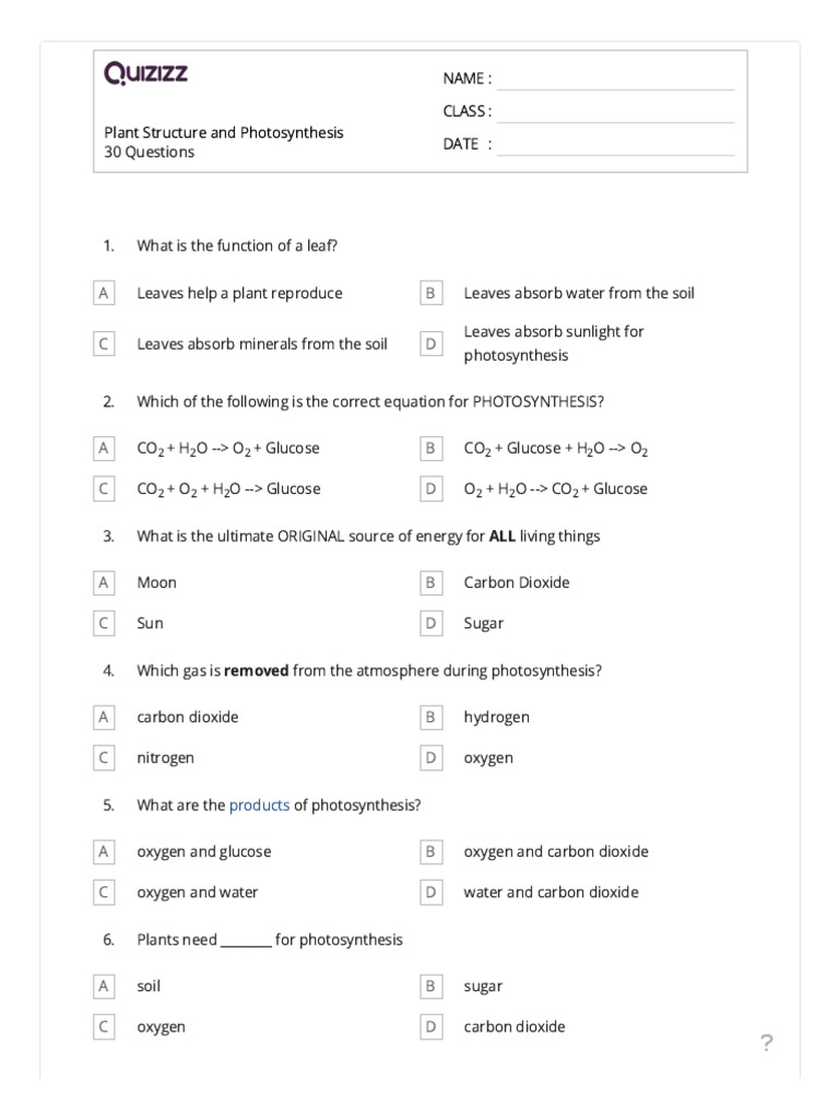 Plant Structure and Photosynthesis Quiz | PDF | Leaf | Stoma