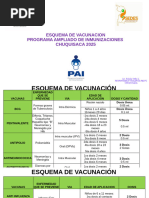 Calendario PNI 2024 | PDF | Vacunas | Especialidades Medicas