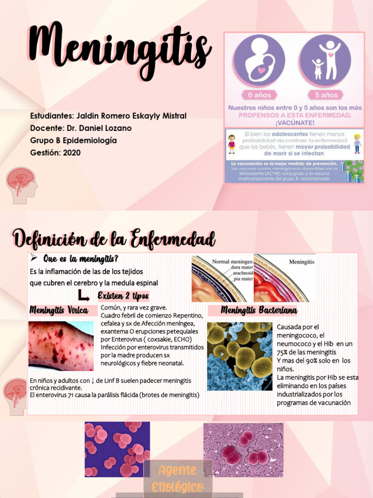 Meningitis: Tipos, Causas y Epidemiología | PDF | Meningitis ...