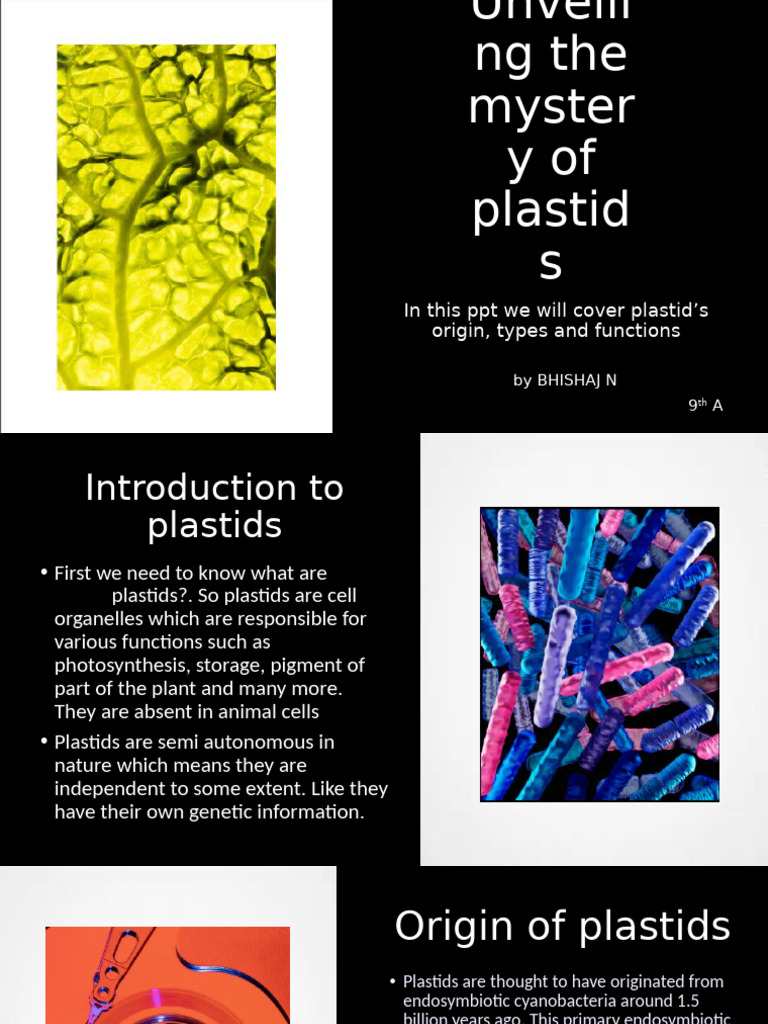 Understanding Plastids: Types and Functions | PDF | Chloroplast ...