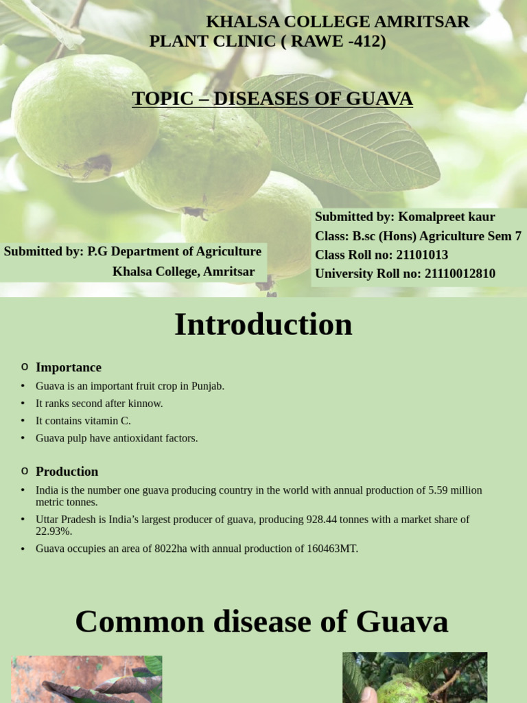 Plant Clinic Komal FINAL | PDF | Leaf | Soil