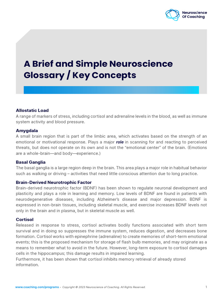 NoC_2023_Kickstart_A_Brief_and_Simple_Neuroscience_Glossary_Key ...