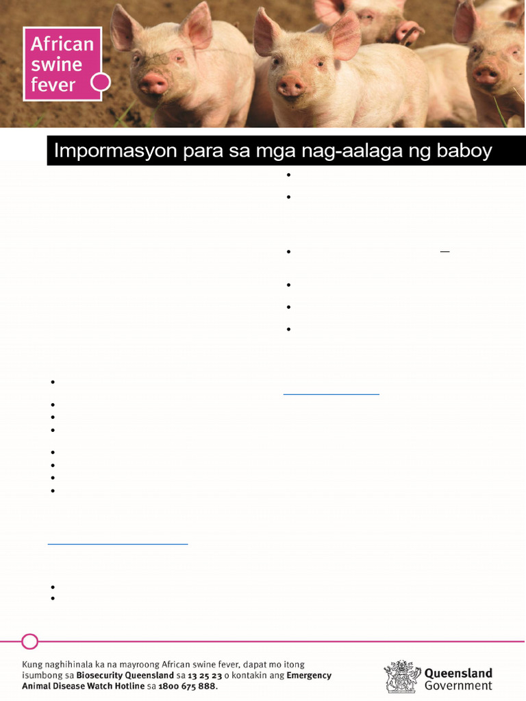 African Swine Fever Pig Keepers Filipino | PDF