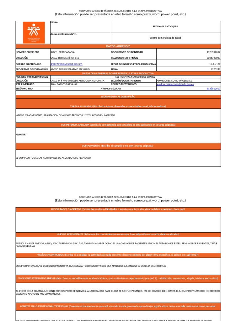 Anexo Bitacora 1 | PDF
