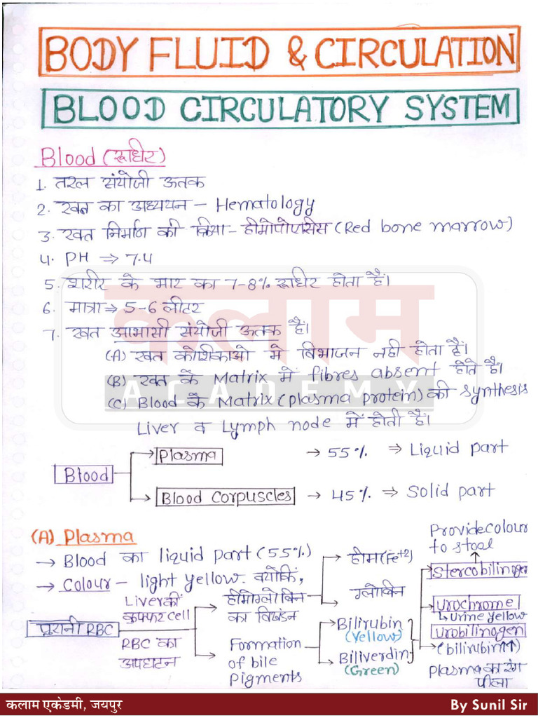 Blood circulation system | PDF