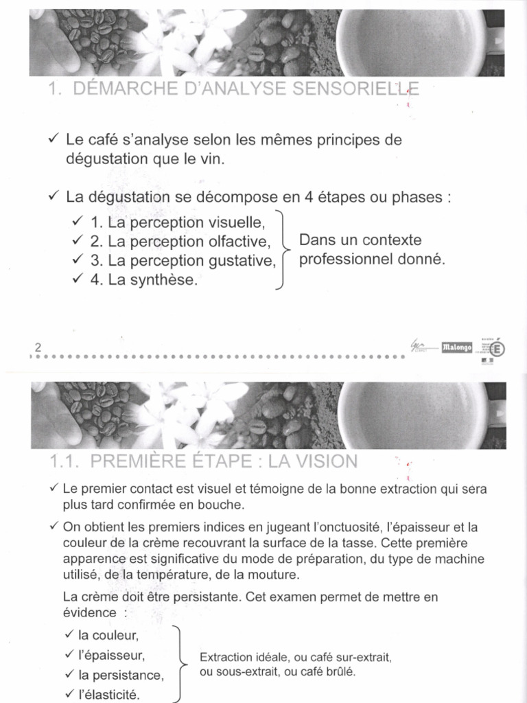 Analyse Sensorielle (Suite) | PDF