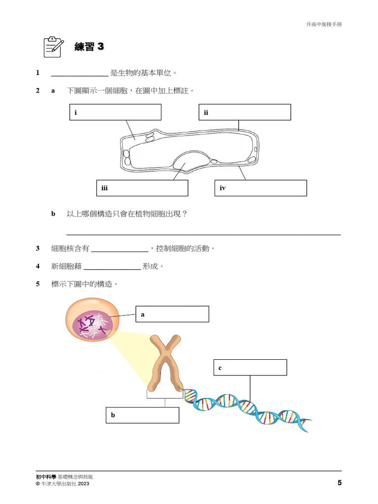 s1 Science Cell Chinese | PDF