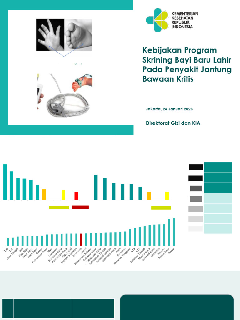 V1 - Kebijakan Skrining PJB - Bu Dir | PDF