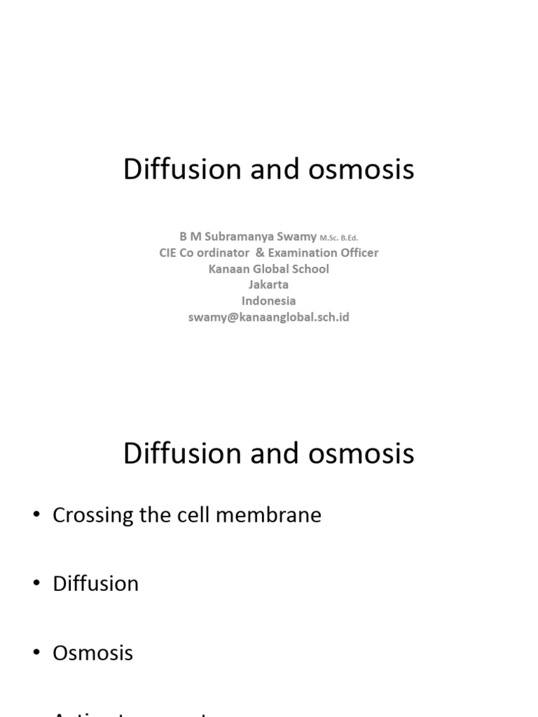 Diffusion & Osmosis PDF | PDF | Osmosis | Diffusion