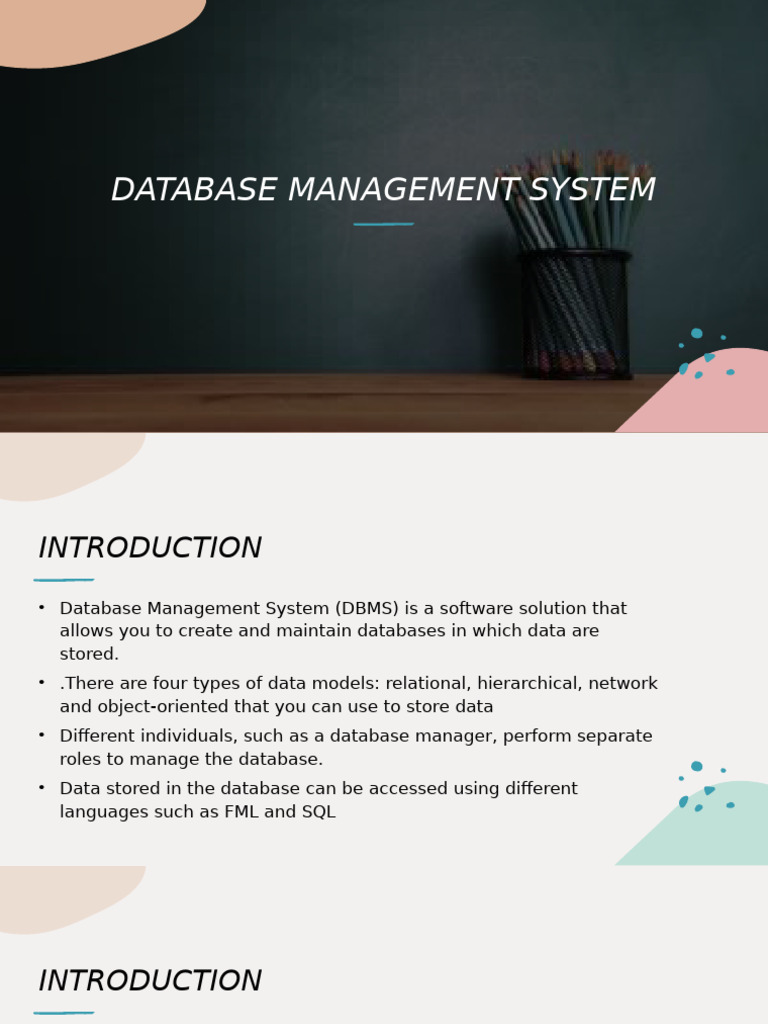 DATABASE MANAGEMENT SYSTEM | PDF | Databases | Relational Database