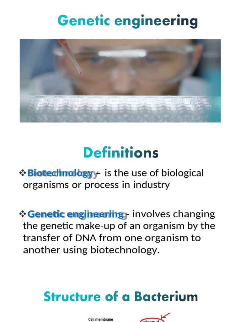 Genetic engineering | PDF | Genetic Engineering | Plasmid