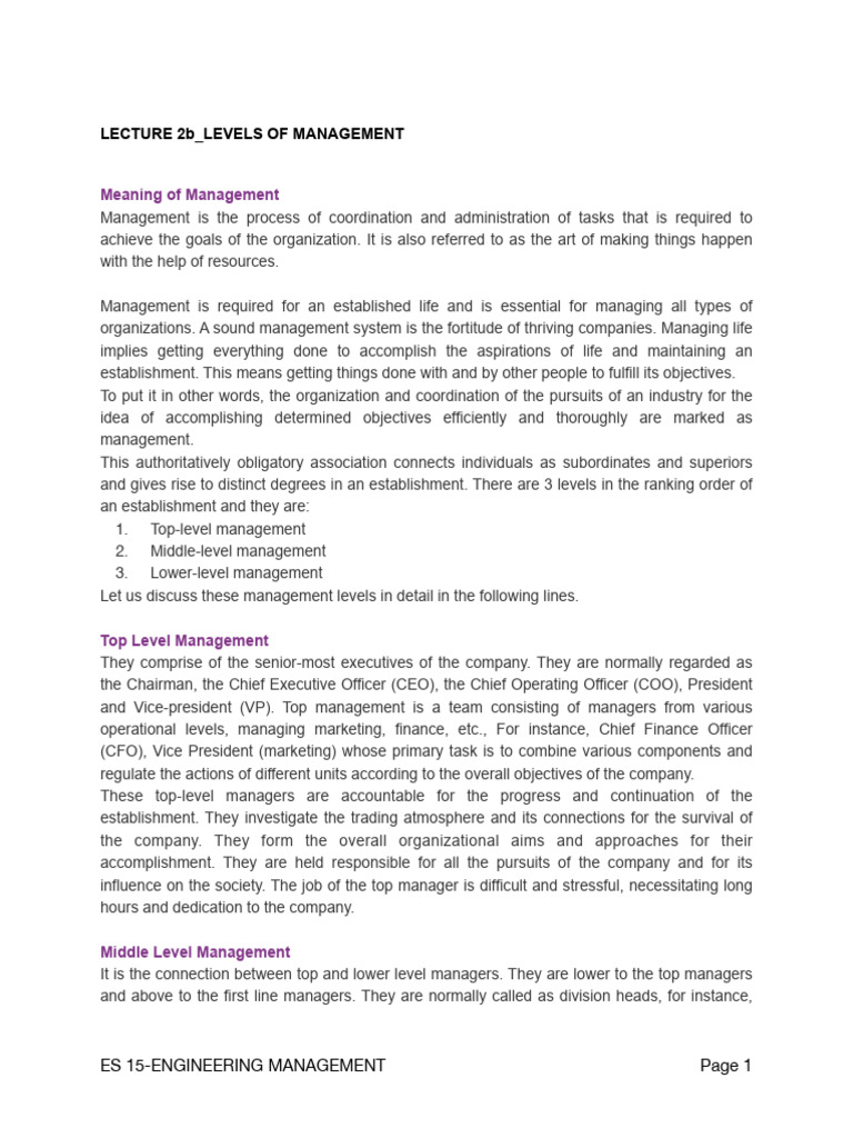 Levels of Management Explained | PDF | Chief Operating Officer | Social ...