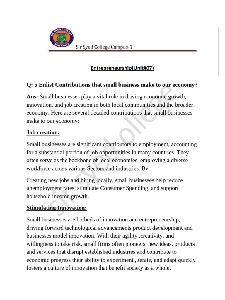 Small Business Contributions to Economy | PDF | Entrepreneurship ...