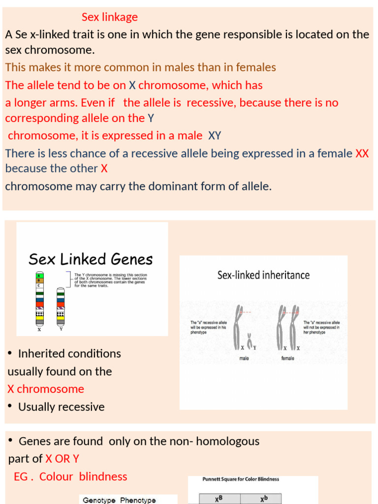 sex linkage | PDF