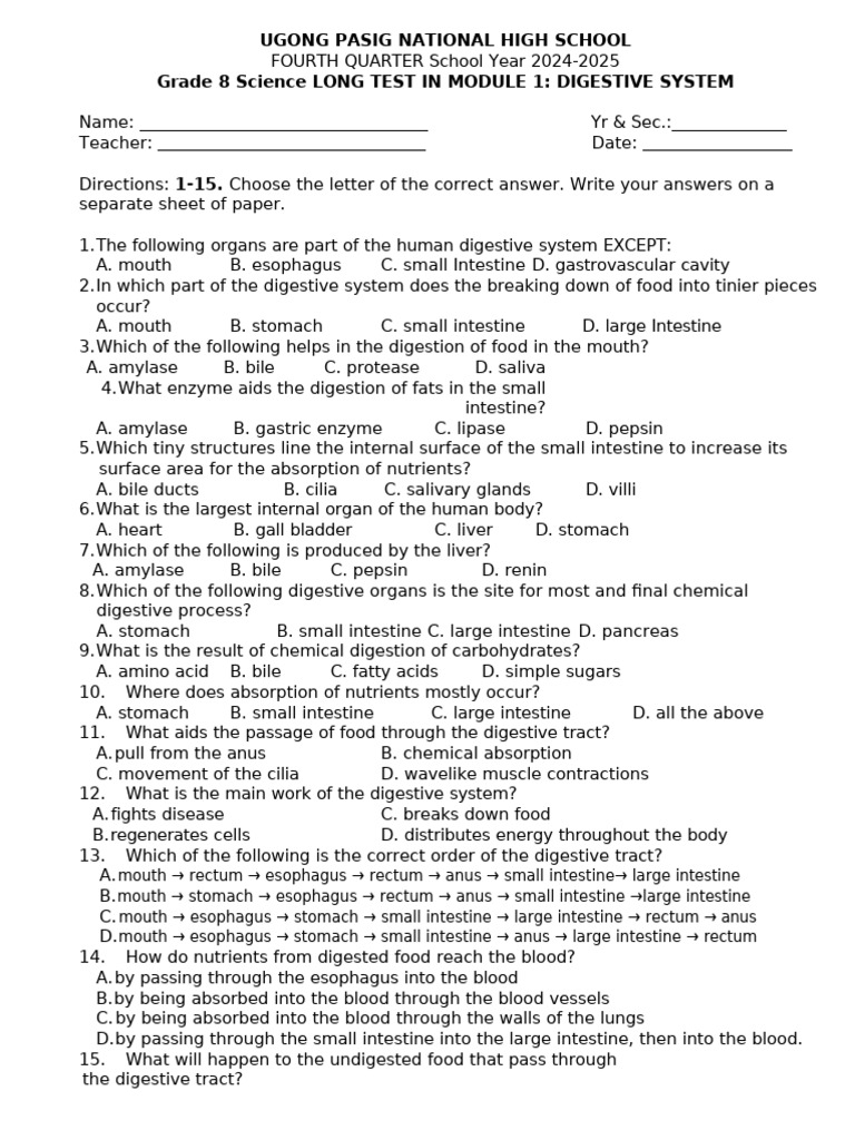 LONG TEST DIGESTIVE SYSTEM | PDF | Digestion | Human Digestive System