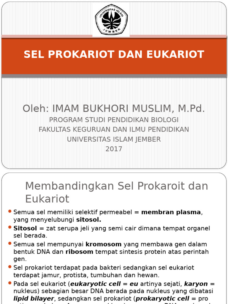4. SEL PROKARIOT DAN EUKARIOT (copy) | PDF
