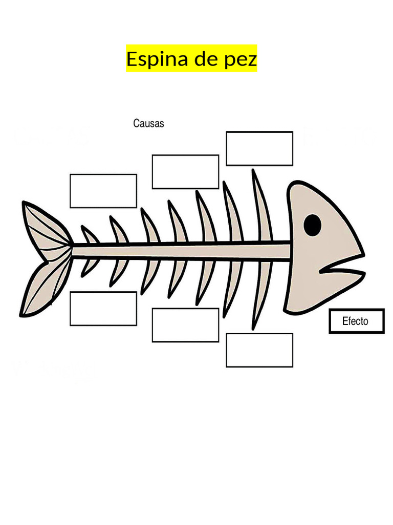 Espina de Pez | PDF