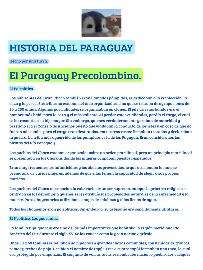 Historia del Paraguay: Desde el Paleolítico hasta el Siglo XVI | PDF ...