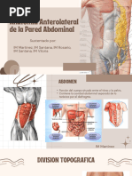 2.7. Exploración Testicular. 2.8. Escroto. 2.9. Técnicas y Maniobras de ...
