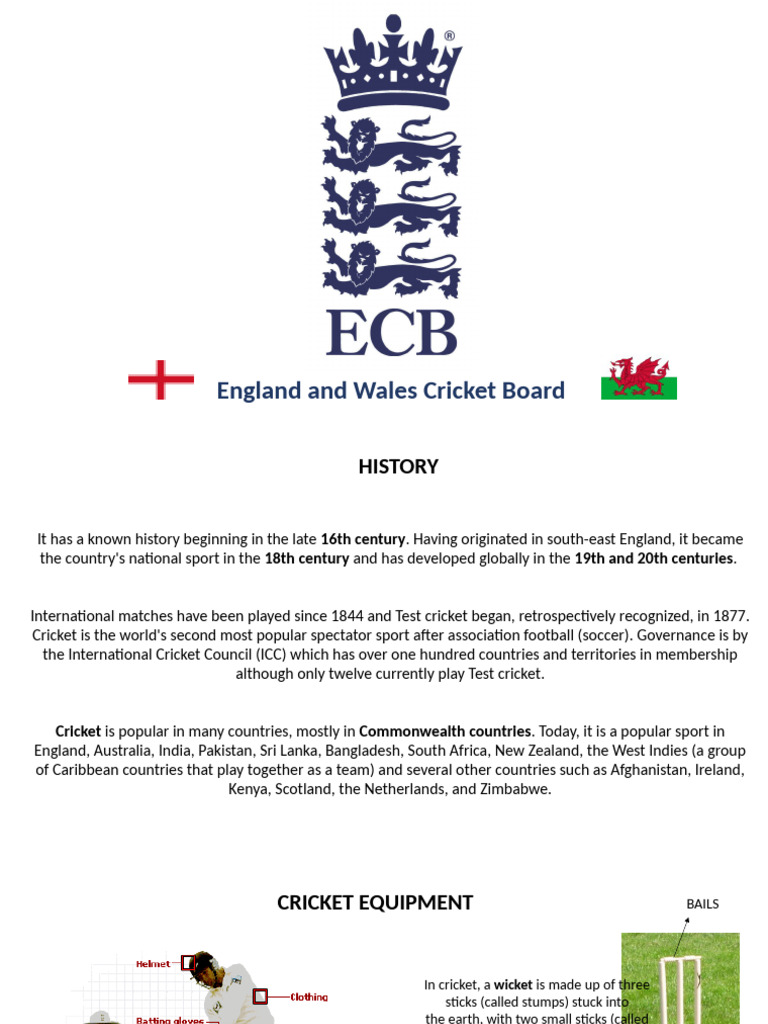 Cricket - Presentation | PDF