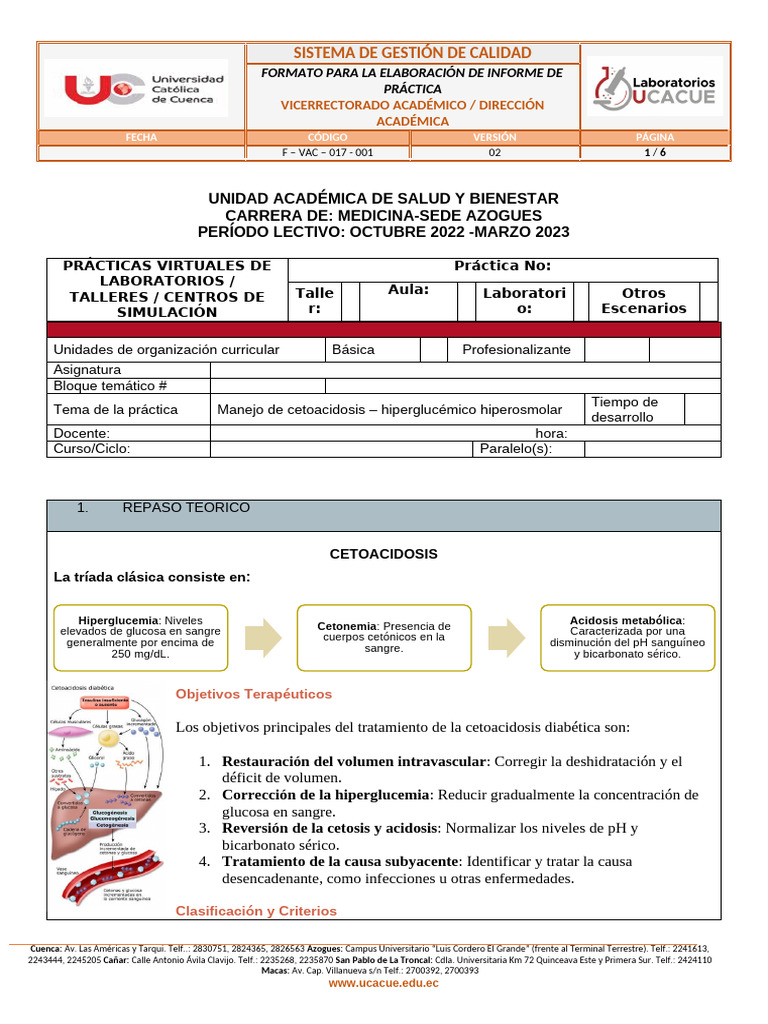 Manejo de Cetoacidosis y HHNC | PDF | Hipoglucemia | Medicina CLINICA