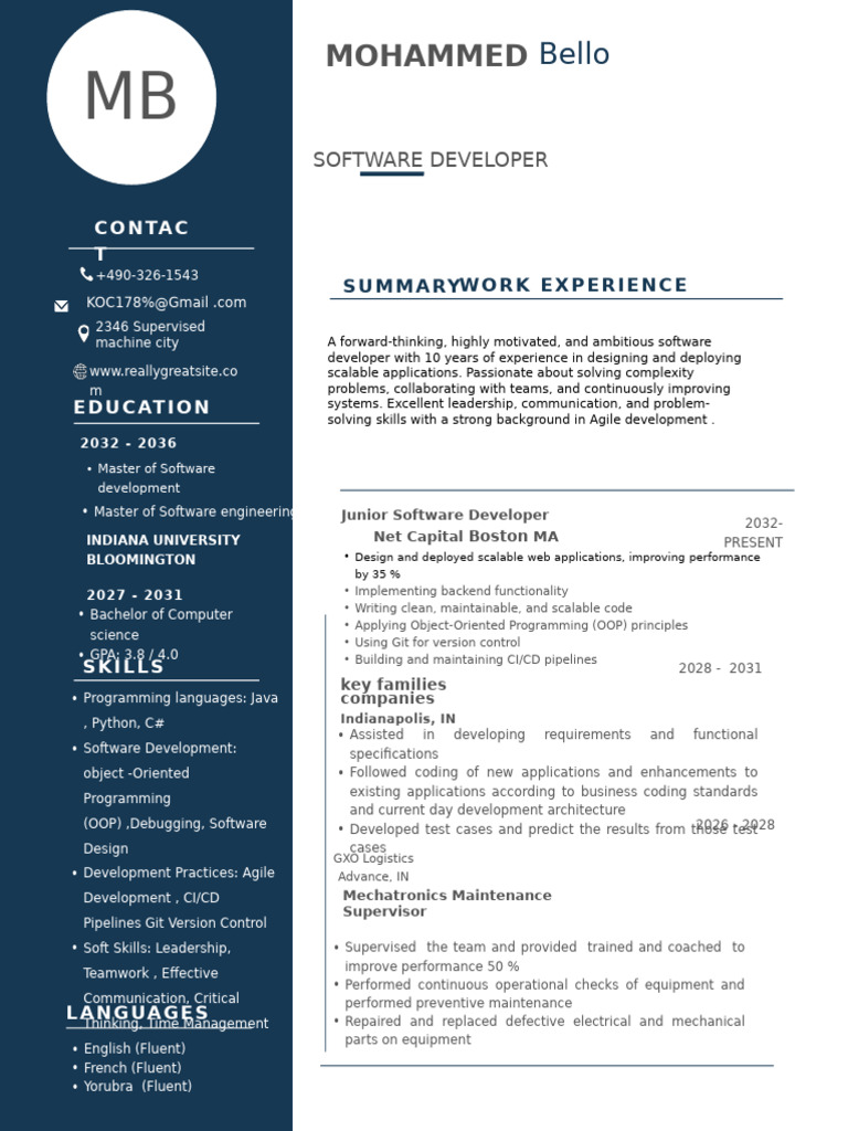 Blue+Simple+Professional+CV+Resume | PDF | Computer Programming | Software Development