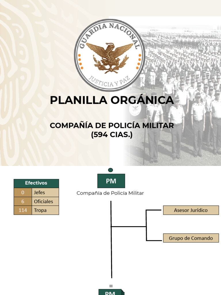 Planilla Orgánica de La Cía. Pol. Mil. | PDF