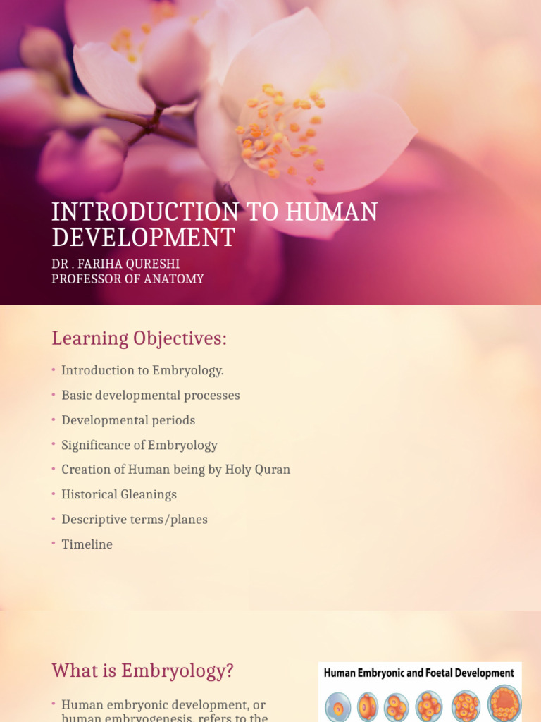 Introduction To Human Development | PDF | Ovary | Prenatal Development