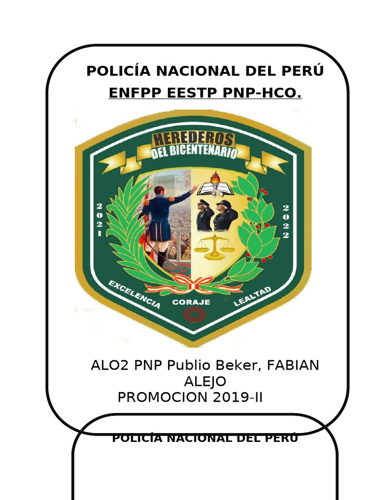 Viñeta Fabian PNP | PDF