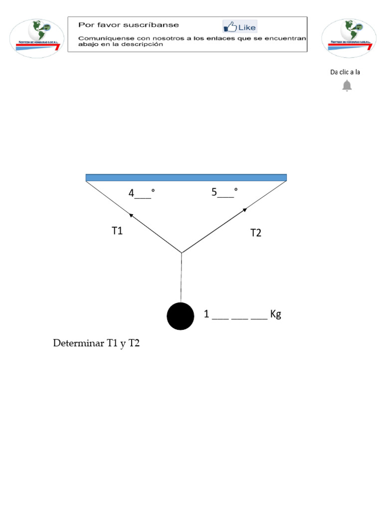 Equilibrio y Fuerza P2 Guia de Trabajo | PDF