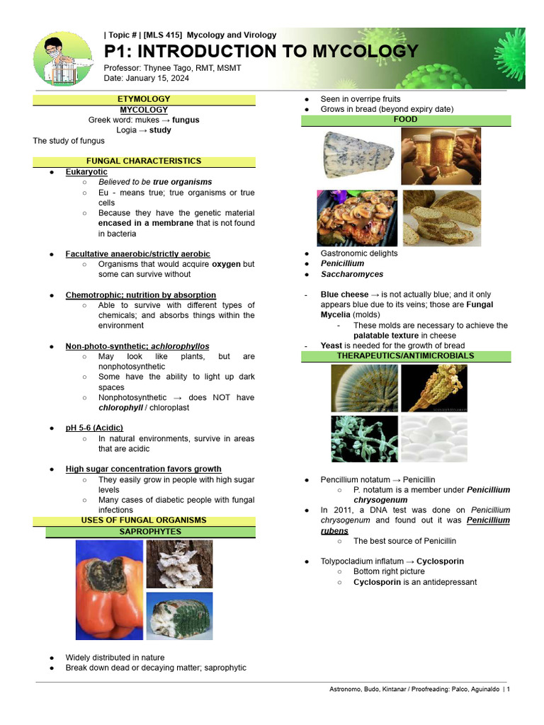 Mycoviro AND Virology in Summary | PDF | Fungus | Spore