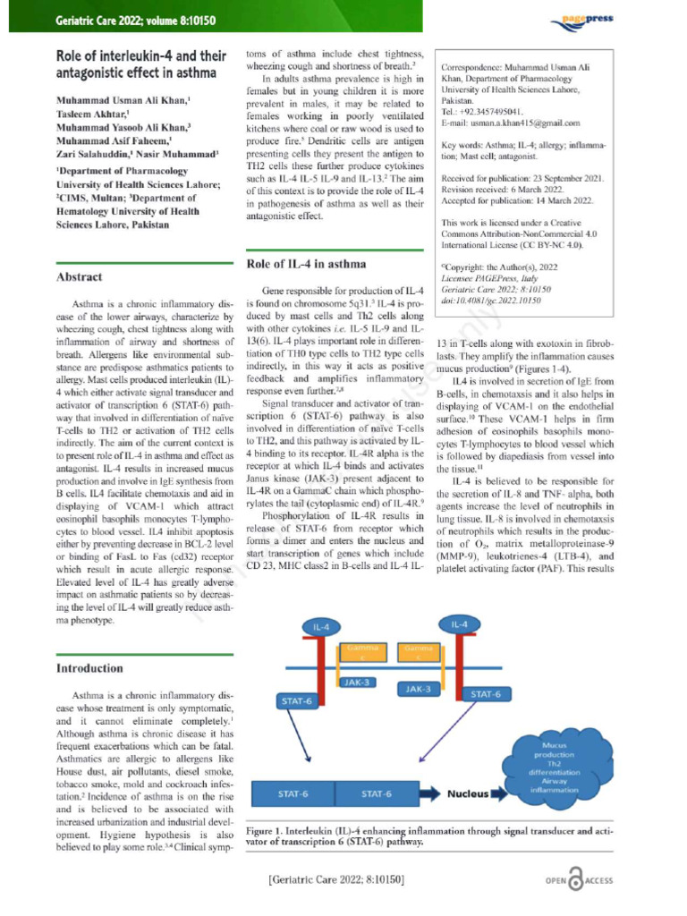 Il 4 | PDF