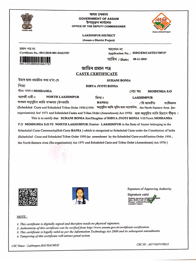 Cast Certificate | PDF