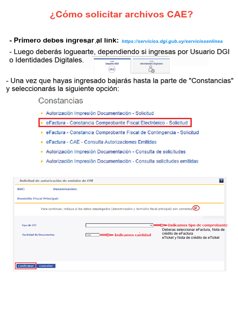 Como Solicitar CAE | PDF