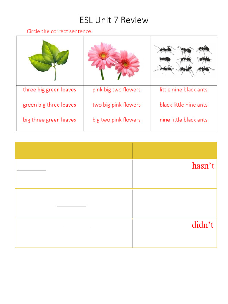 ESL Unit 7 Review | PDF