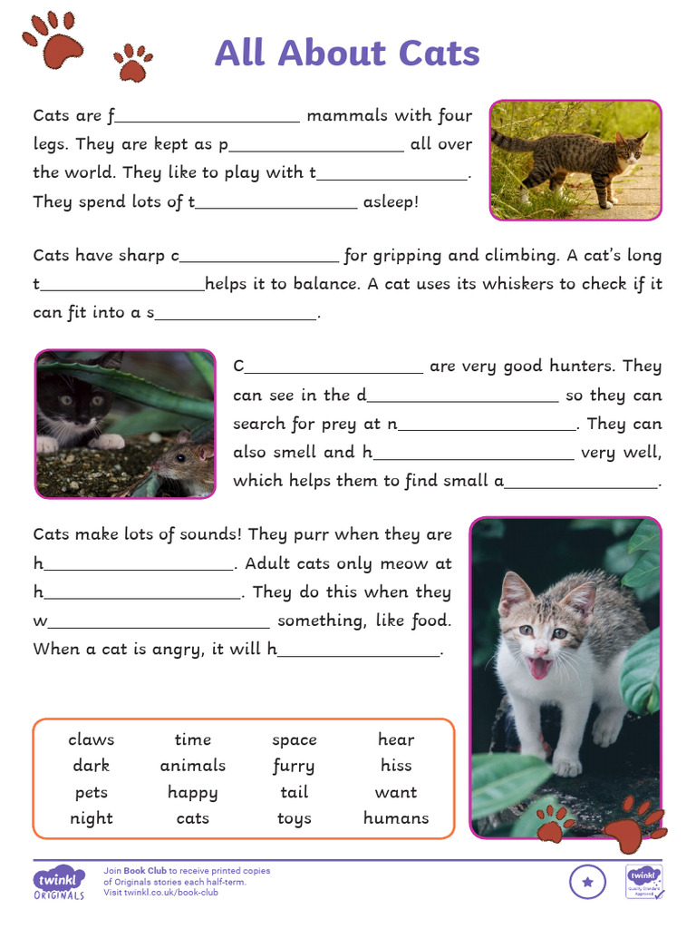 T e 2550874 All About Cats Fill in The Blanks Cloze Procedure Activity ...