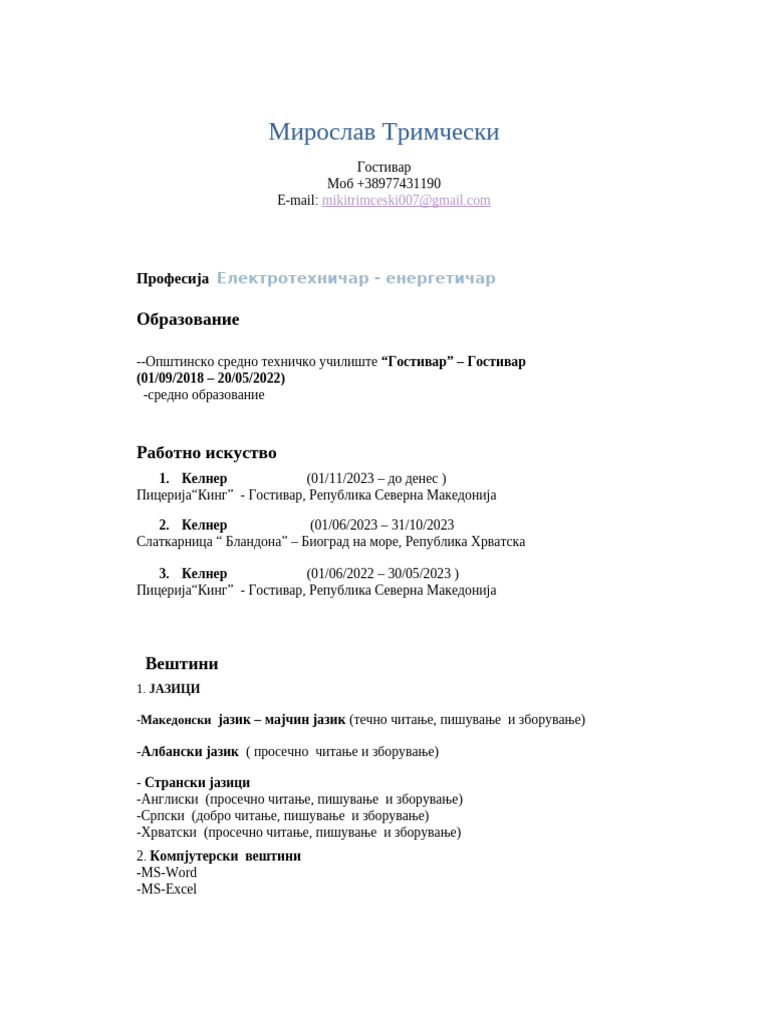 CV - Miki Trimceski 2 | PDF