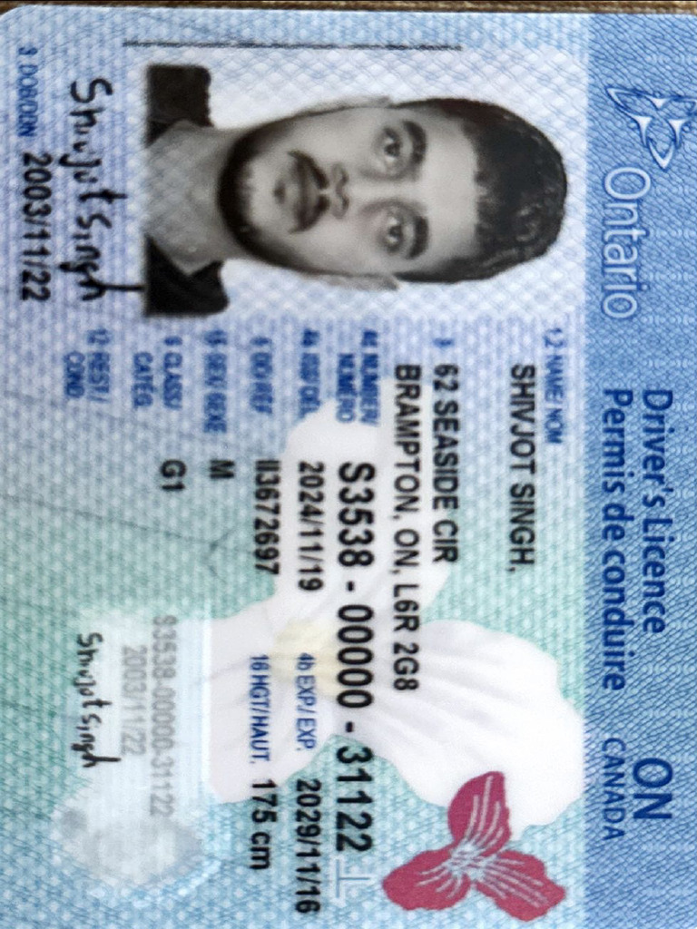 Shivjot Singh License PDF | PDF