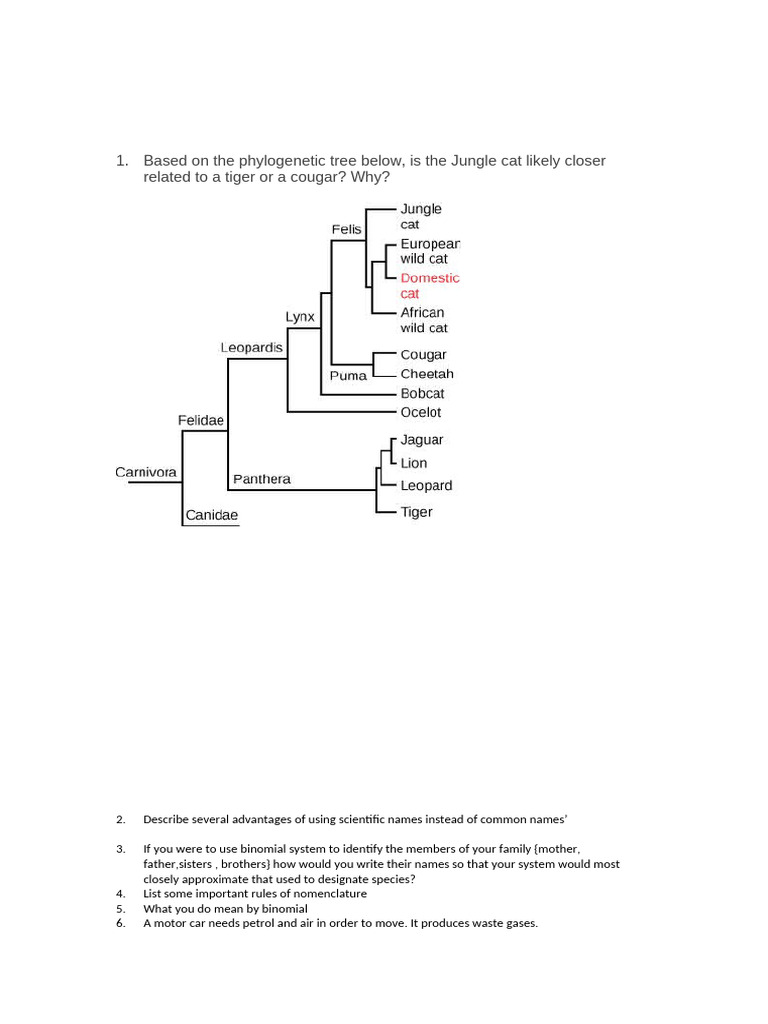Biology Tutorial | PDF
