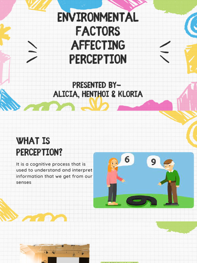 Environmental Factors in Perception | PDF | Perception | Affect ...