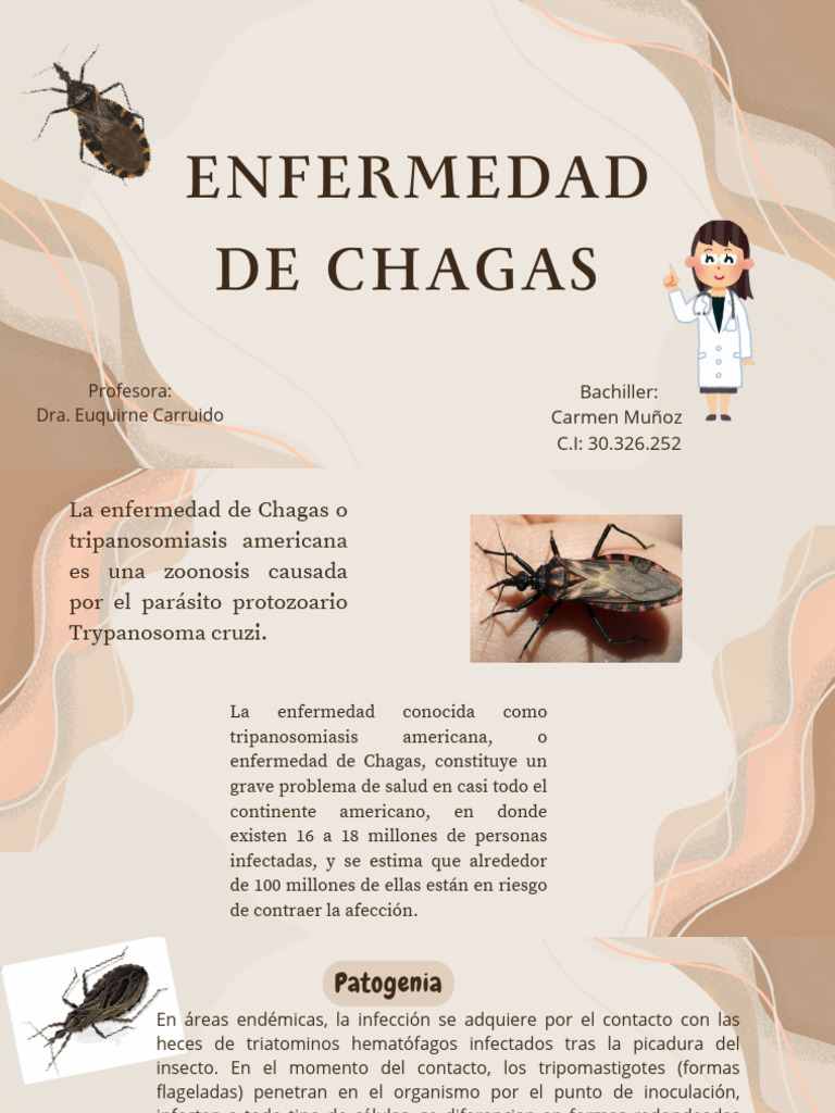 Enfermedad De Chagas Diagnóstico Y Tratamiento Pdf Medicina