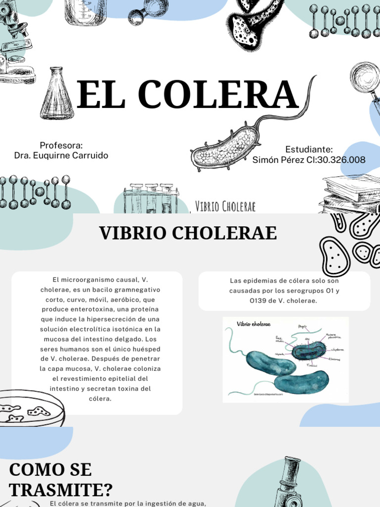 Causas, síntomas y tratamiento del cólera | PDF | Cólera | Diarrea