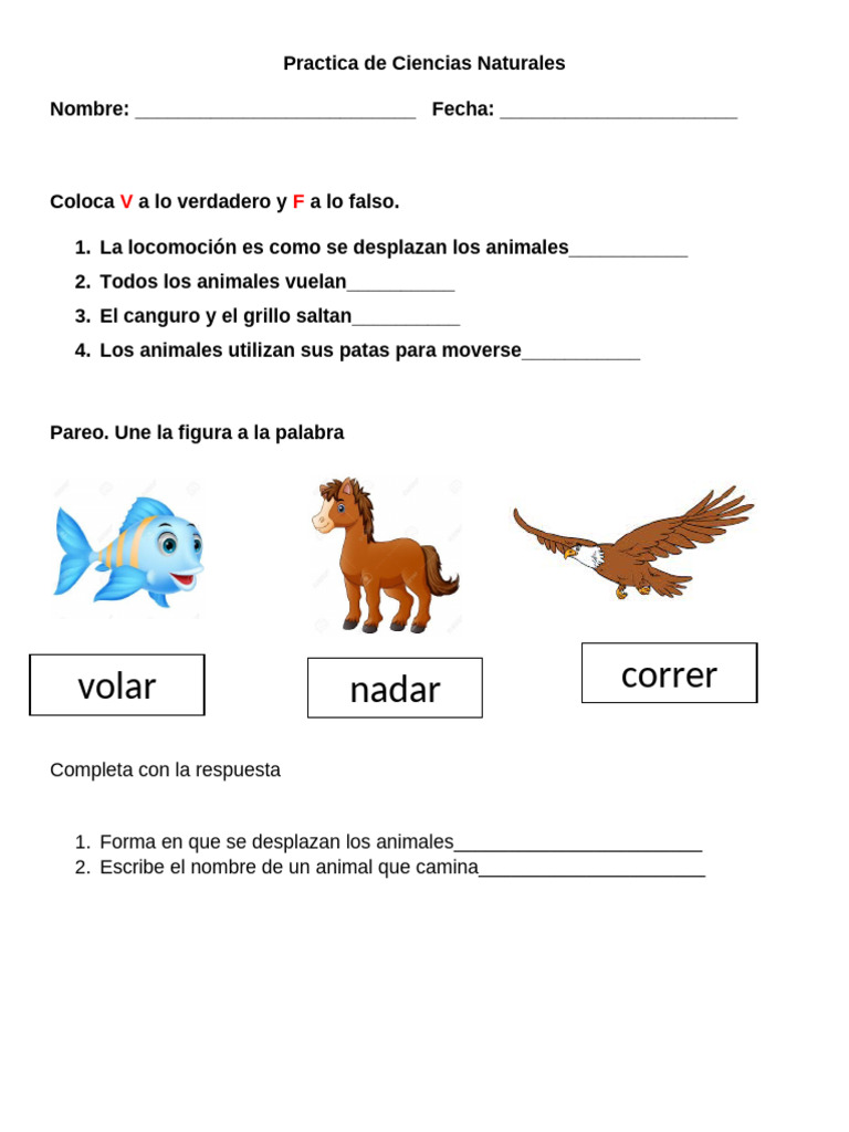 Práctica de Ciencias Naturales para Niños | PDF