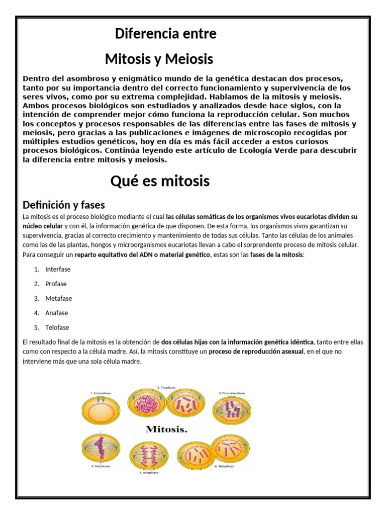 Informe De La Miosis Y Meyosis Pdf Mitosis Mitosis
