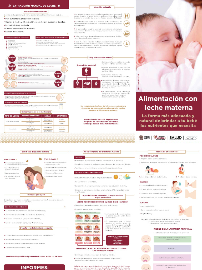 01 Lactancia Materna Pdf