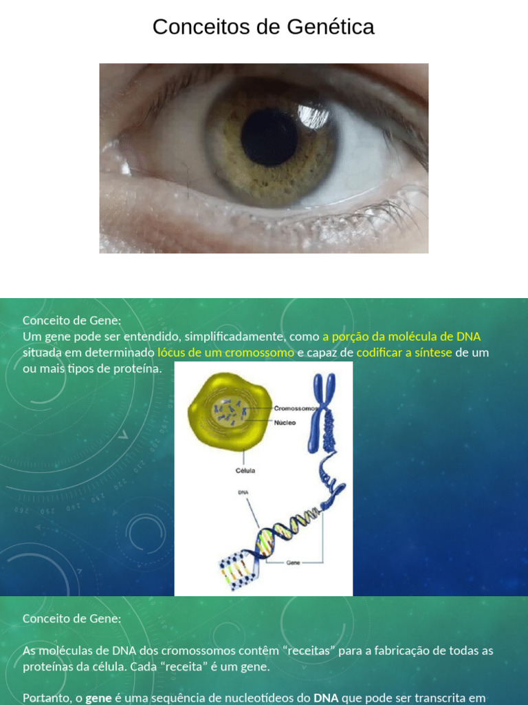 Conceitos Básicos de Genética 2º Ano | PDF | Dominância (genética) | Alelo