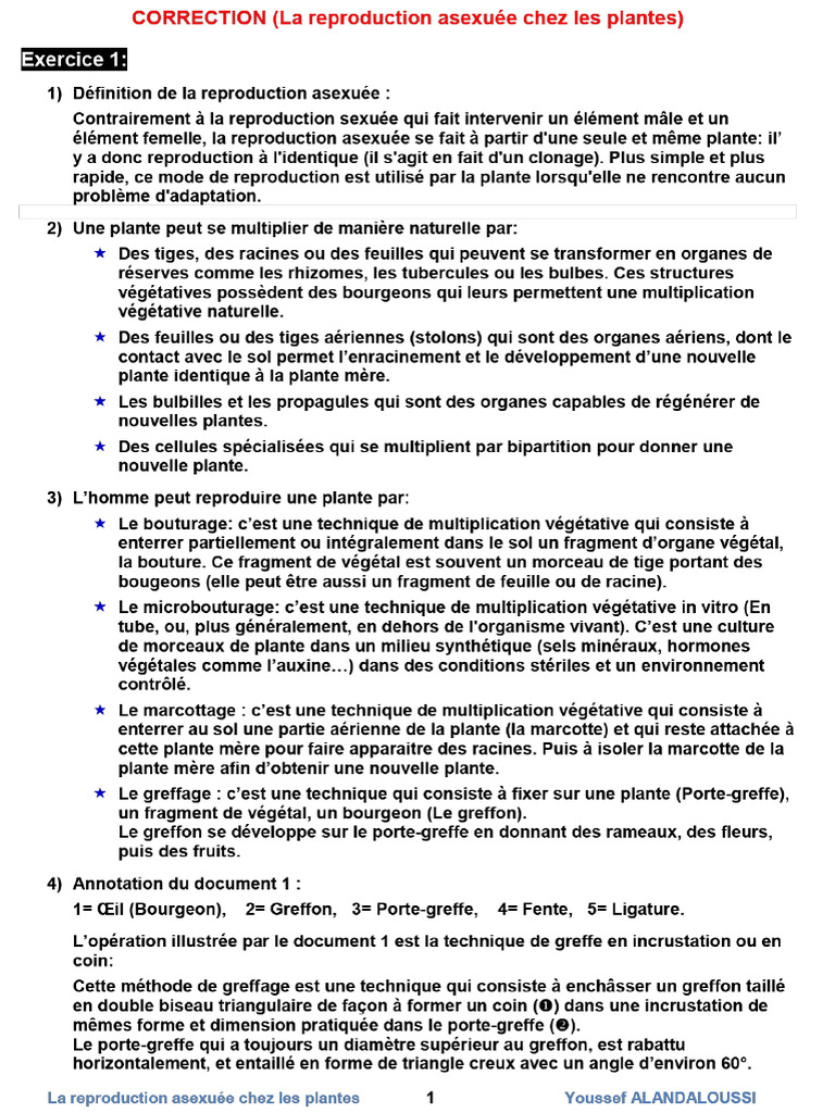 Exercices Unit2 4 Correction | PDF