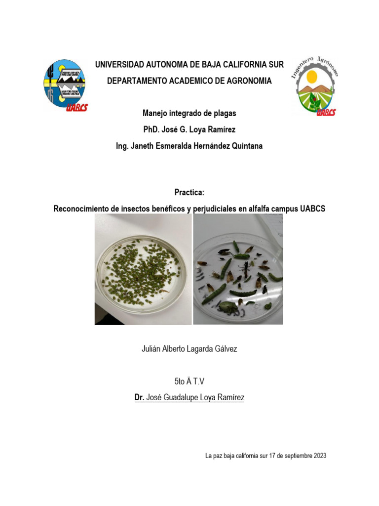 Reconocimiento de Insectos en Alfalfa UABCS | PDF | Insectos | Artrópodos
