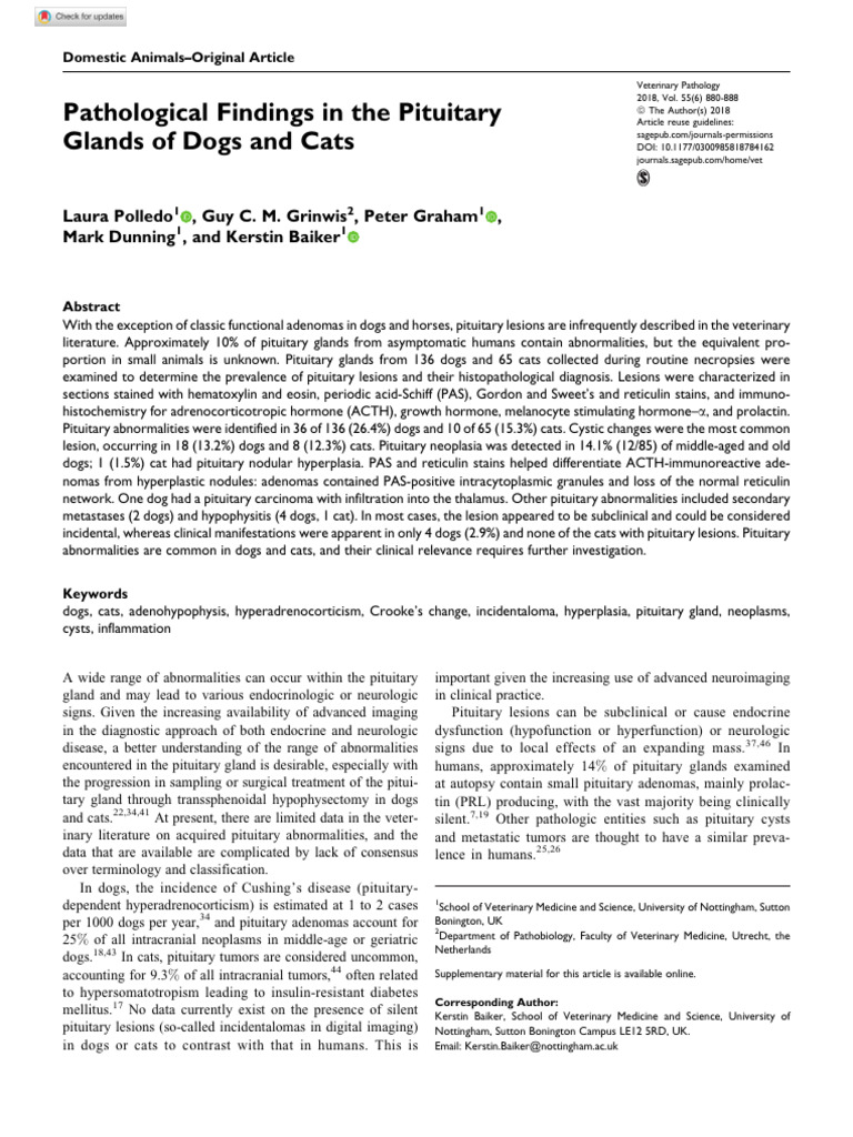 Pituitary Lesions in Dogs and Cats | PDF | Neoplasms | Adenoma
